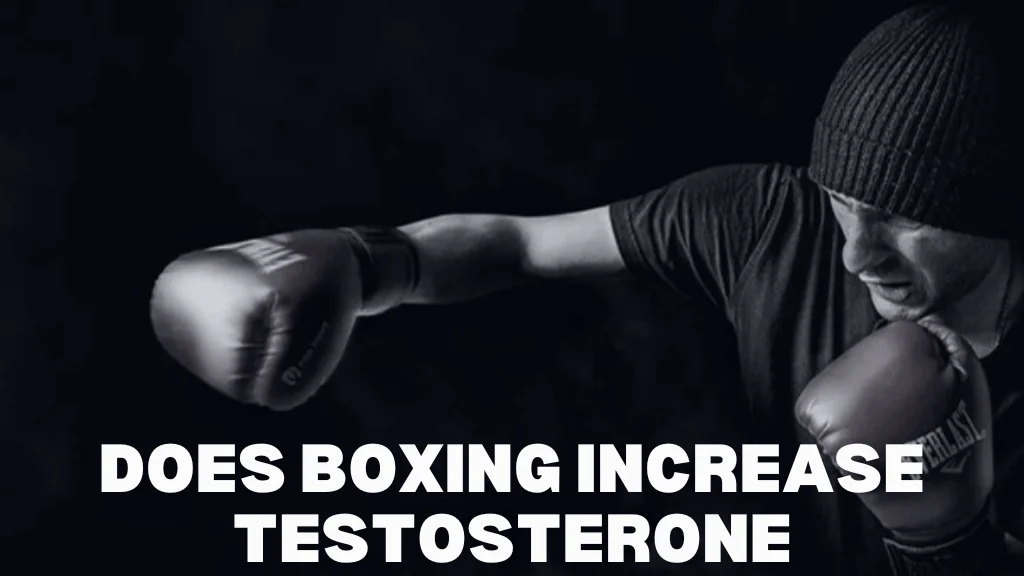 Boost Testosterone Naturally with Boxing Tips